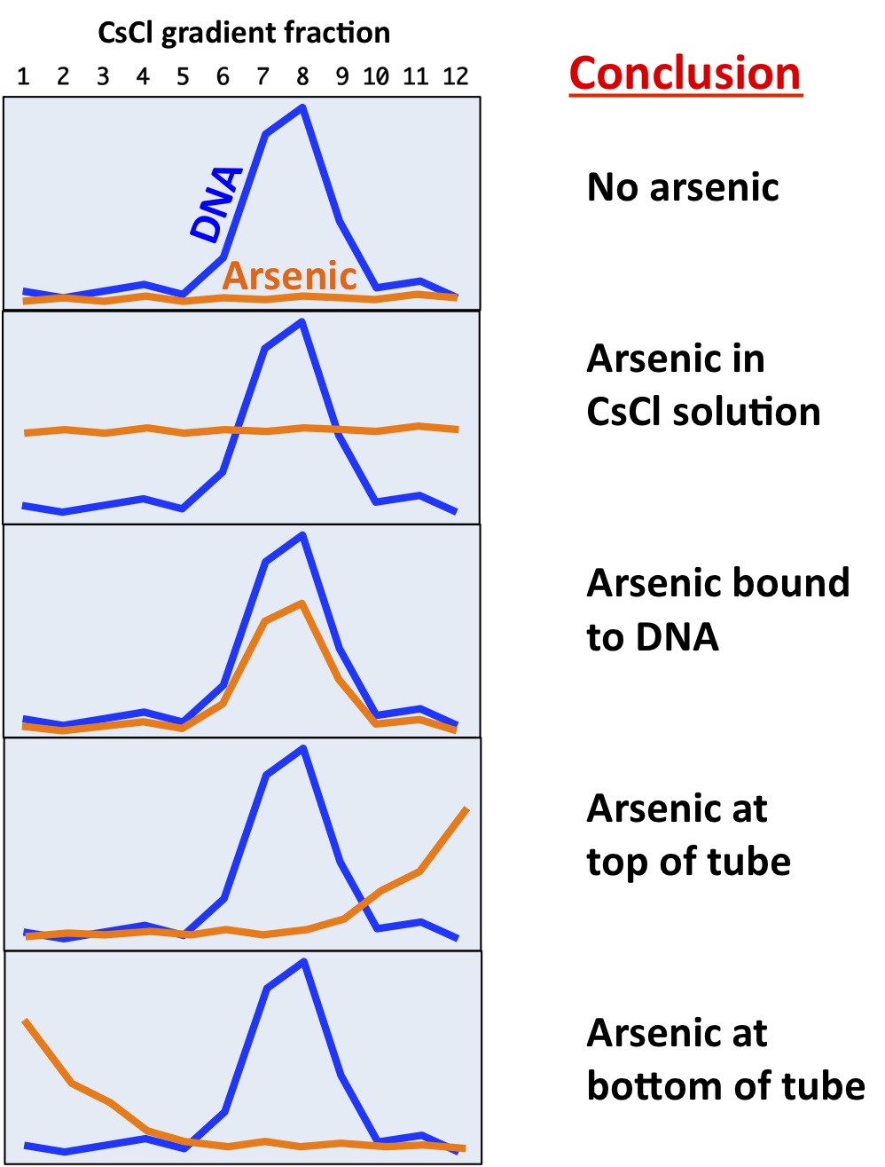 RRResearch: More power of CsCl gradients