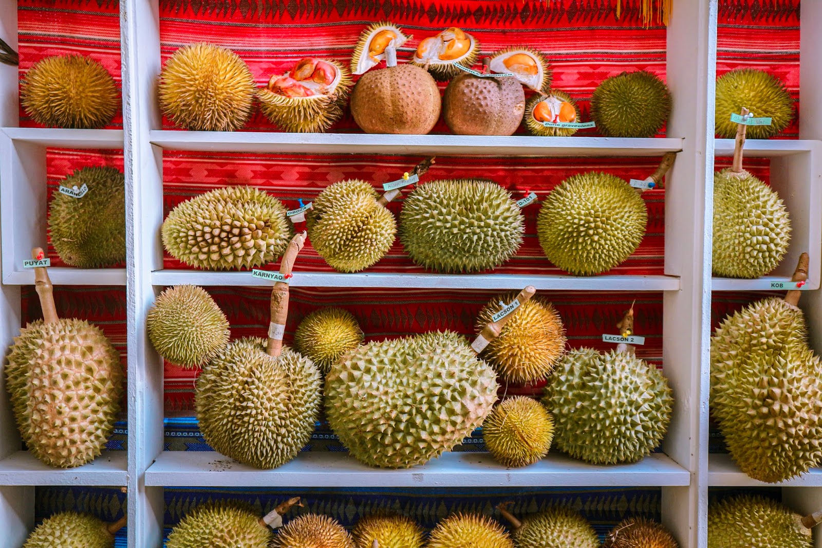 Kadayawan Durian Festival 2019 - Eat Well. Travel Often