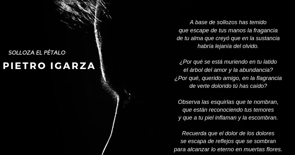 SOLLOZA EL PÉTALO | AUDIOPOEMA | PIETRO IGARZA