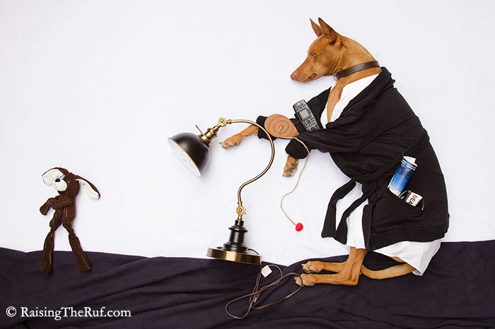 Las divertidas aventuras de Rufus, el perro durmiente. - Mundo Feliz