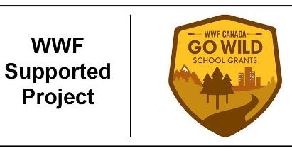 Corner Brook Intermediate Announcements