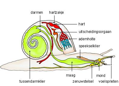 Barends Blik: juli 2012
