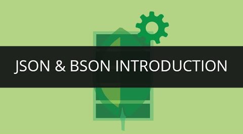 What is difference between JSON and BSON