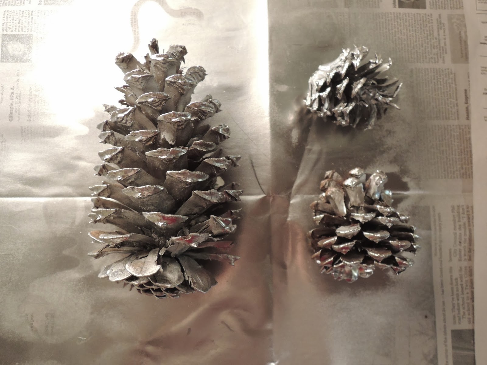 Holly Goes Lightly: DIY Painted Pine Cones