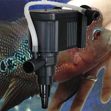 Mengenal Pompa Aquarium | L A W E T AQUARIUM