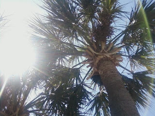 Joseph Noto Digital Art Portfolio: Photography