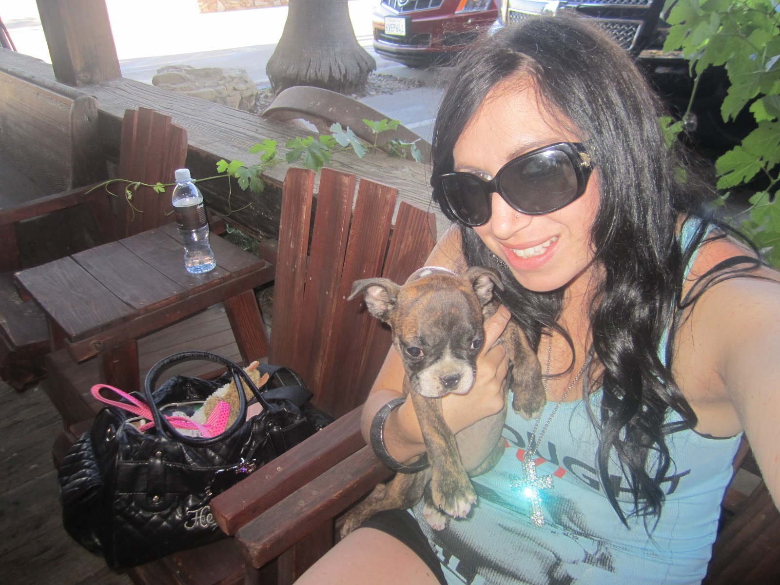Love & Pugs: Dallas Rose-The Newest Addition