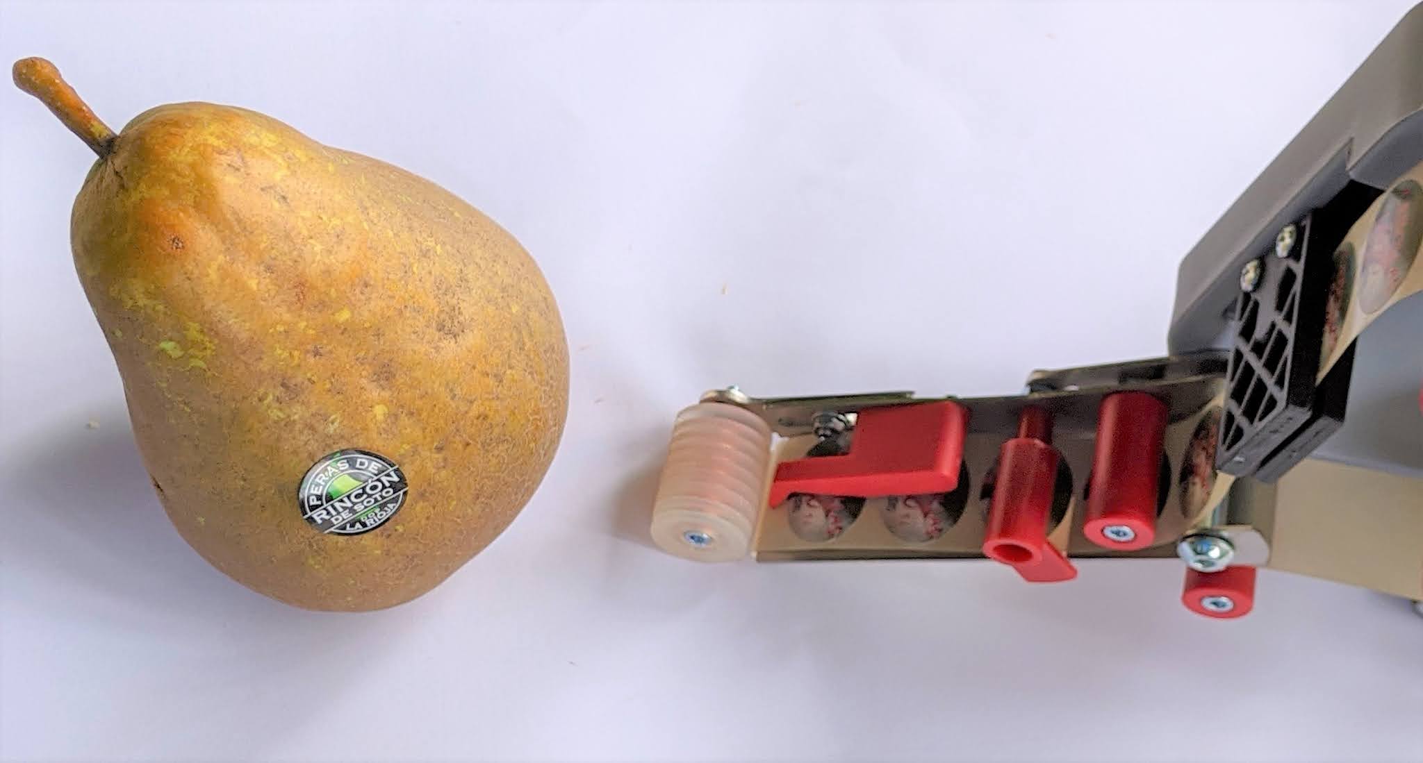 Hand fruit labeler
