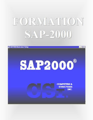 Formation SAP - 2000