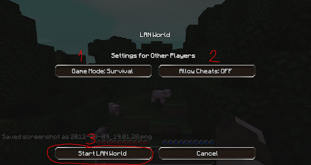 MineCraft with myZx: Tutorial: How to start a LAN world in MineCraft 1.3.1