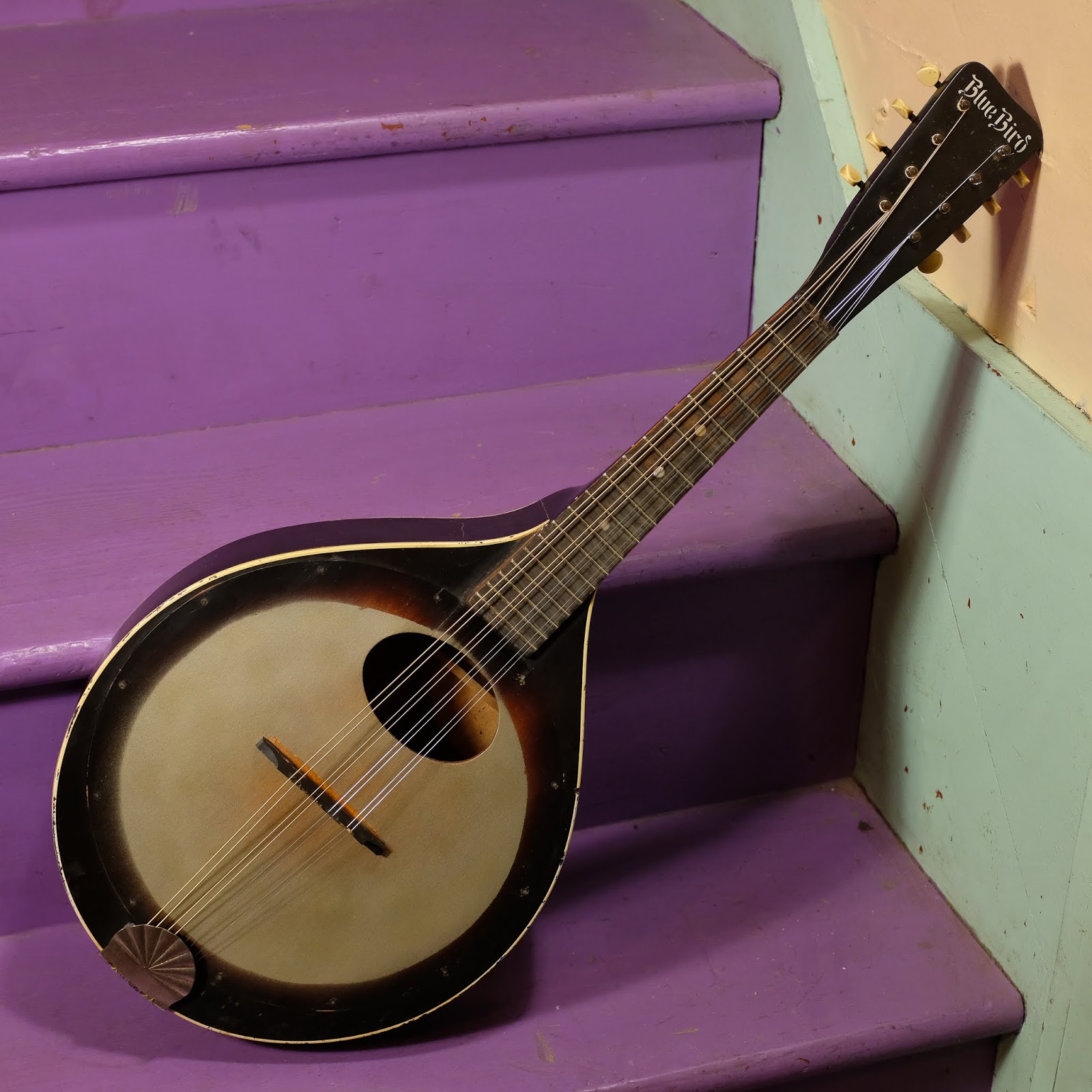 1930s Regal-made BlueBird Flatback Mandolin