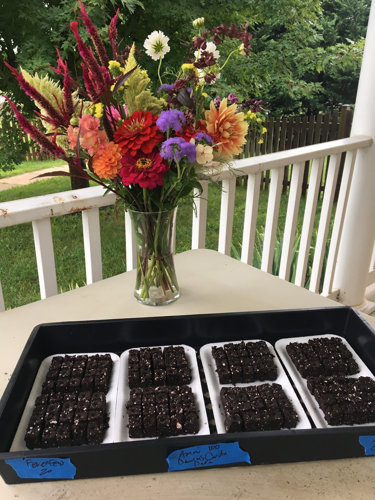 Pennypacker Lane Flowers: Here we go Spring 2018!