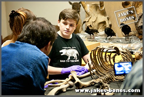 Me in the media : Jake's Bones