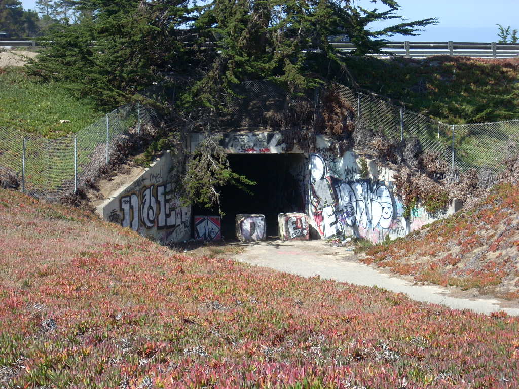 Knuckledraggin My Life Away : Fort Ord California today