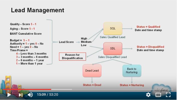 Salesforce Technical Hub: Lead Management Process