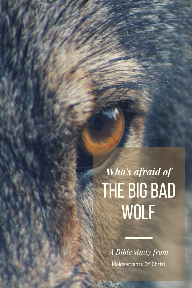 Maidservants of Christ: Who's Afraid of the Big Bad Wolf?