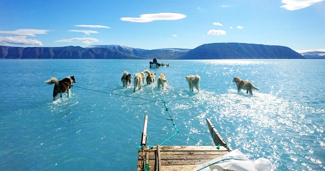 Capa de hielo de Groenlandia perdió en un día 11.000 millones de ...