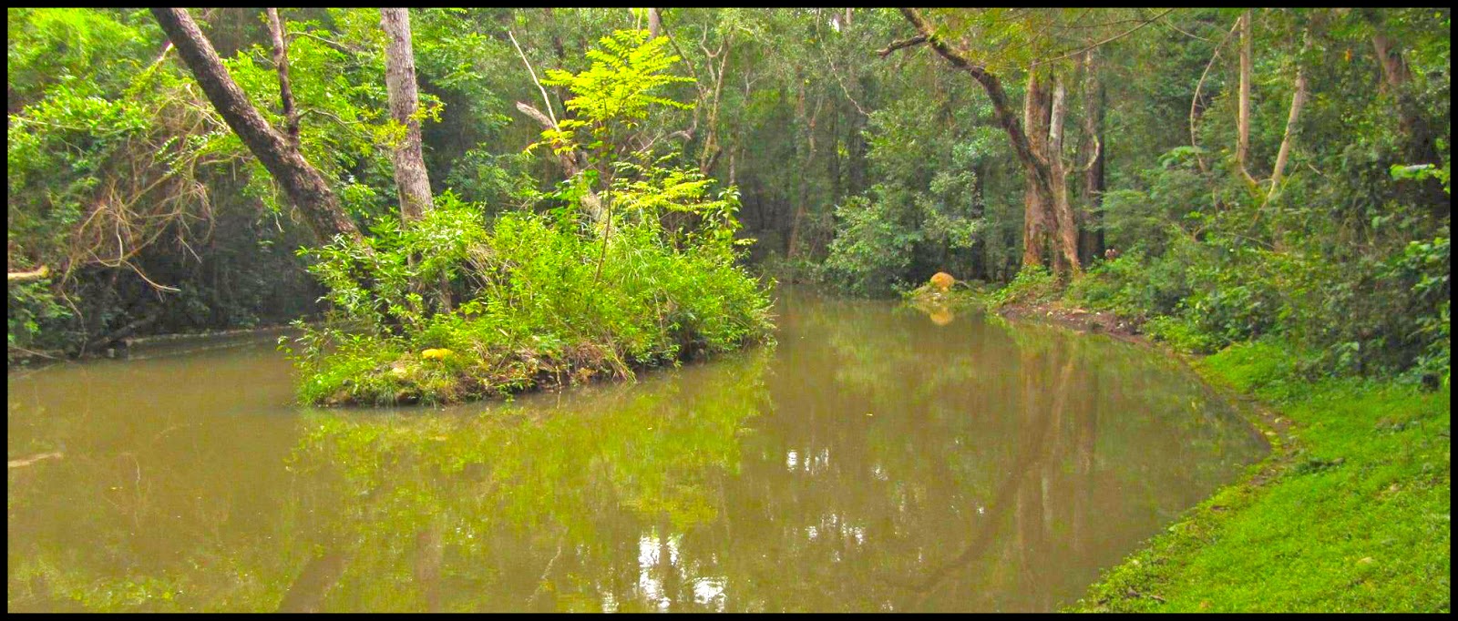 Talakona Waterfalls,Andhra Pradesh,India | Travel life journeys