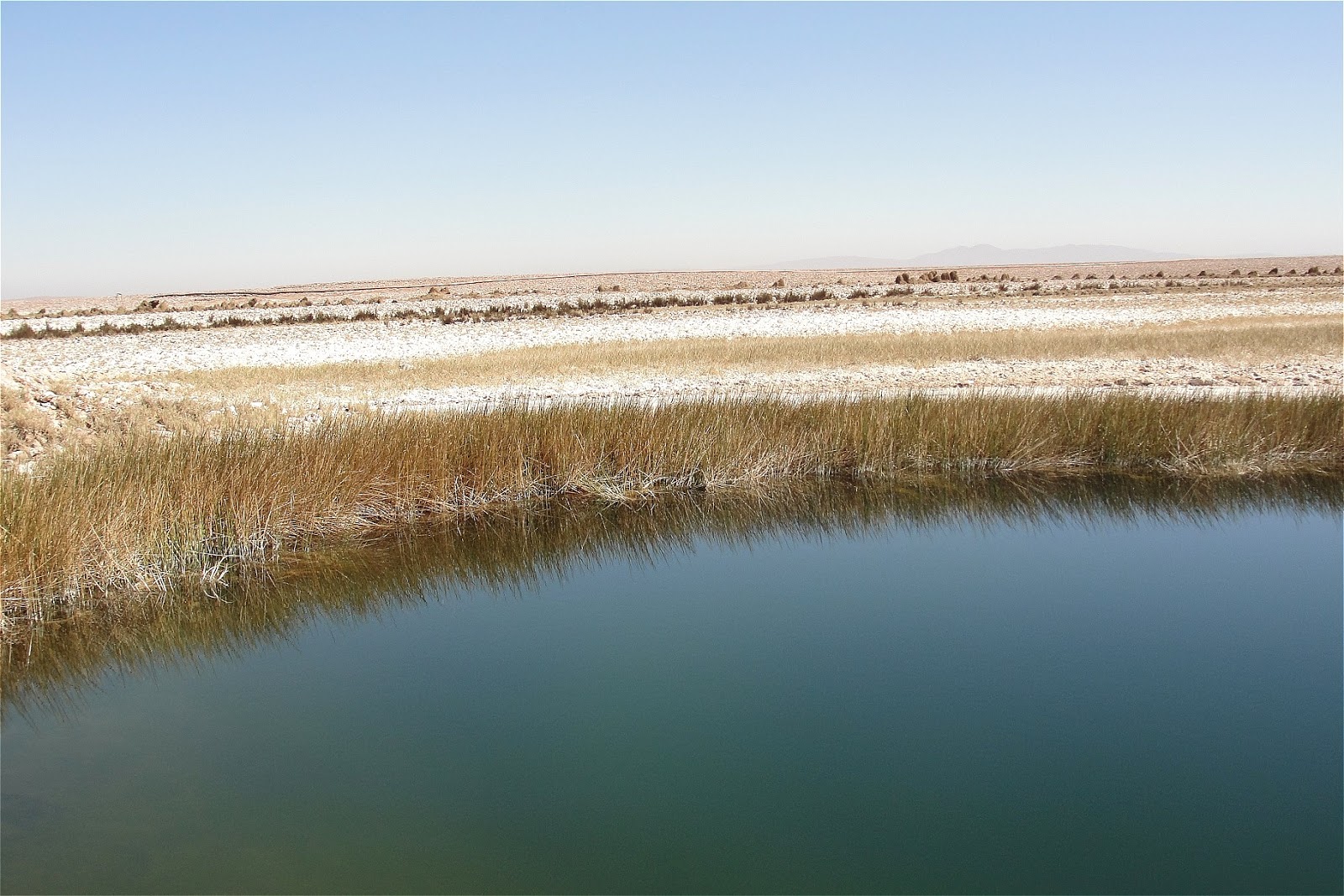 Caminantes del Desierto: EL SALAR DE LLAMARA