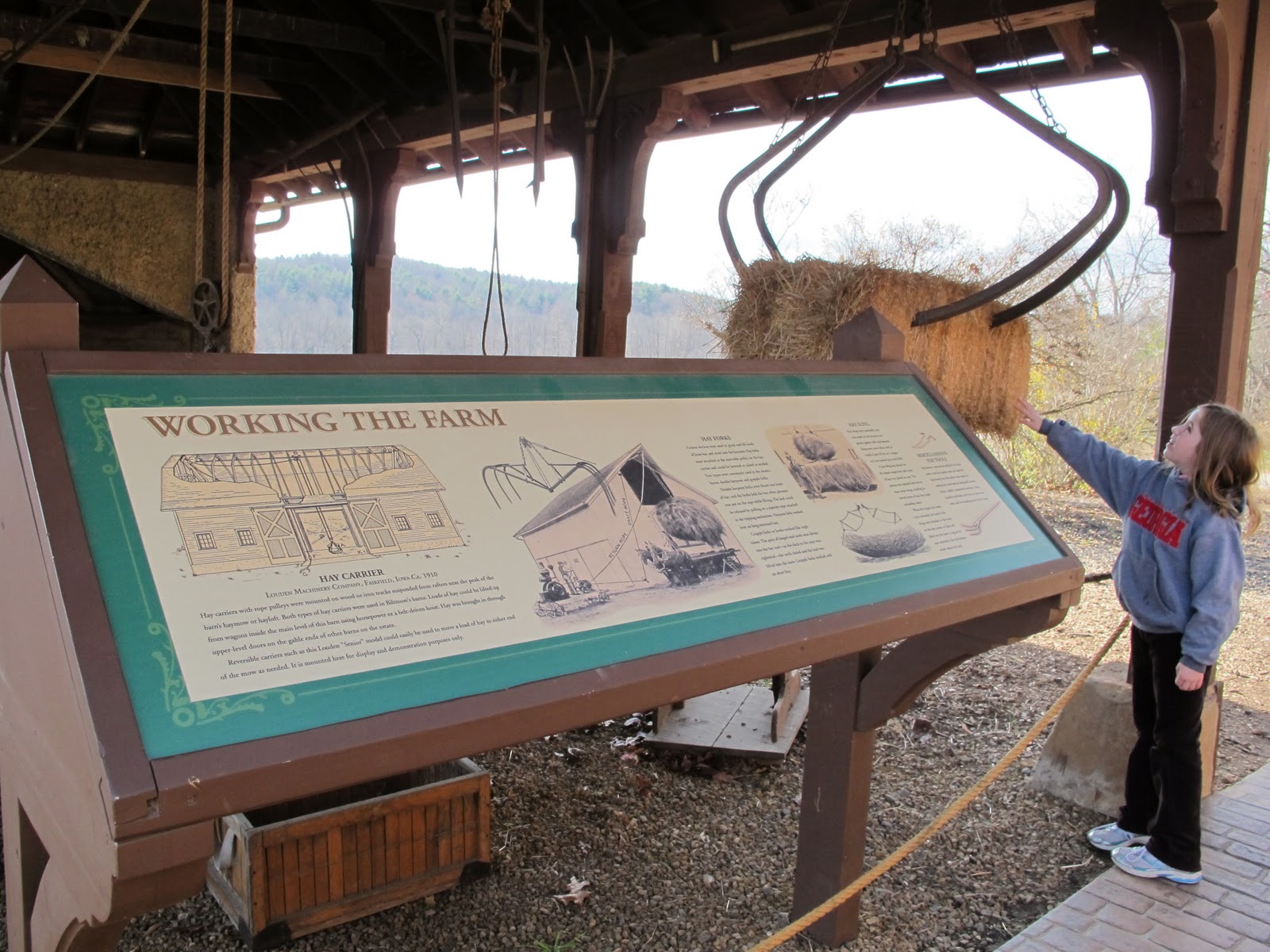 Finding Joy: Biltmore Estate's Farm at Antler Hill Village