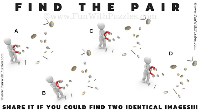 Quick and Easy Find the Pair Picture Riddle and Answer