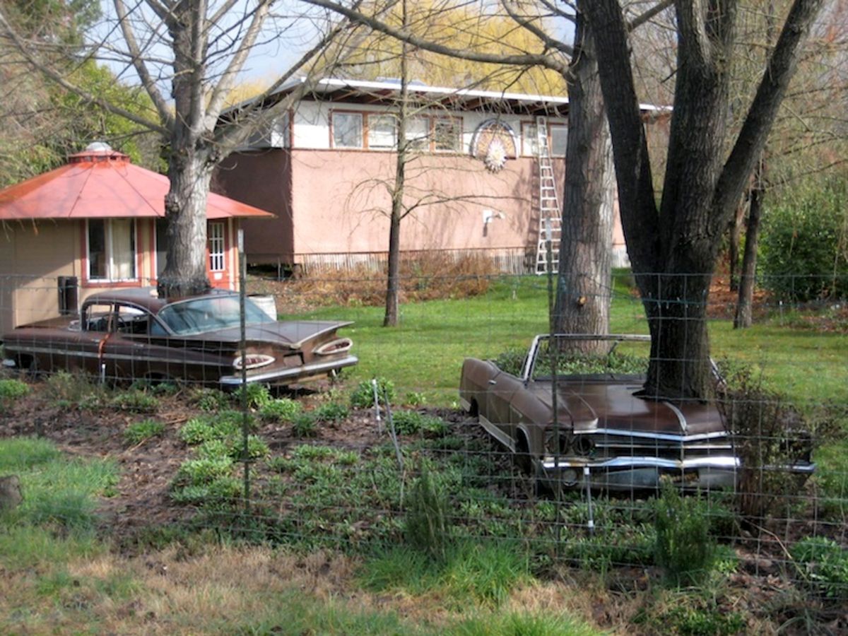 22 Amazing Photographs of Trees Growing Through Classic Cars ~ Vintage ...