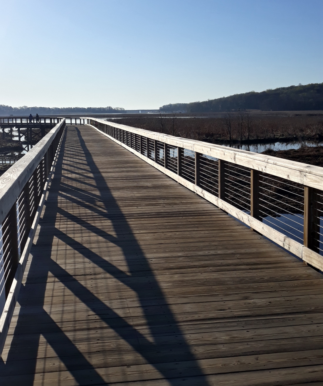 julie metz neabsco creek wetlands preserve & neabsco boardwalk