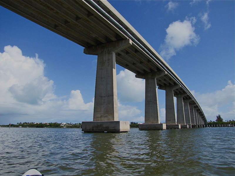 Where's Eldo?: The Elusive Dolphins