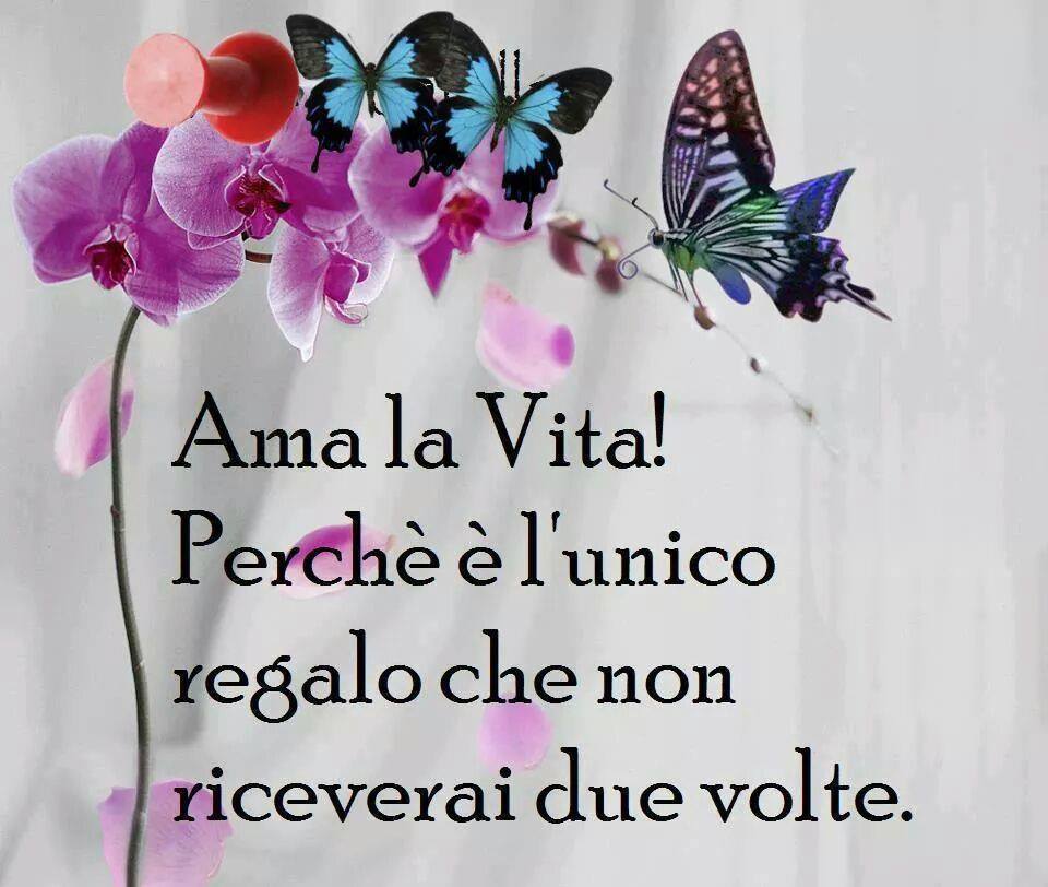 frasi belle sulla vita frasi belle sulla vita