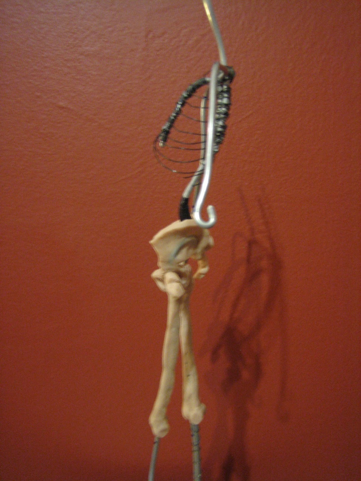 Los Angeles Academy of Figurative Art: Ecorche/3D Anatomy w/ Rey Bustos ...