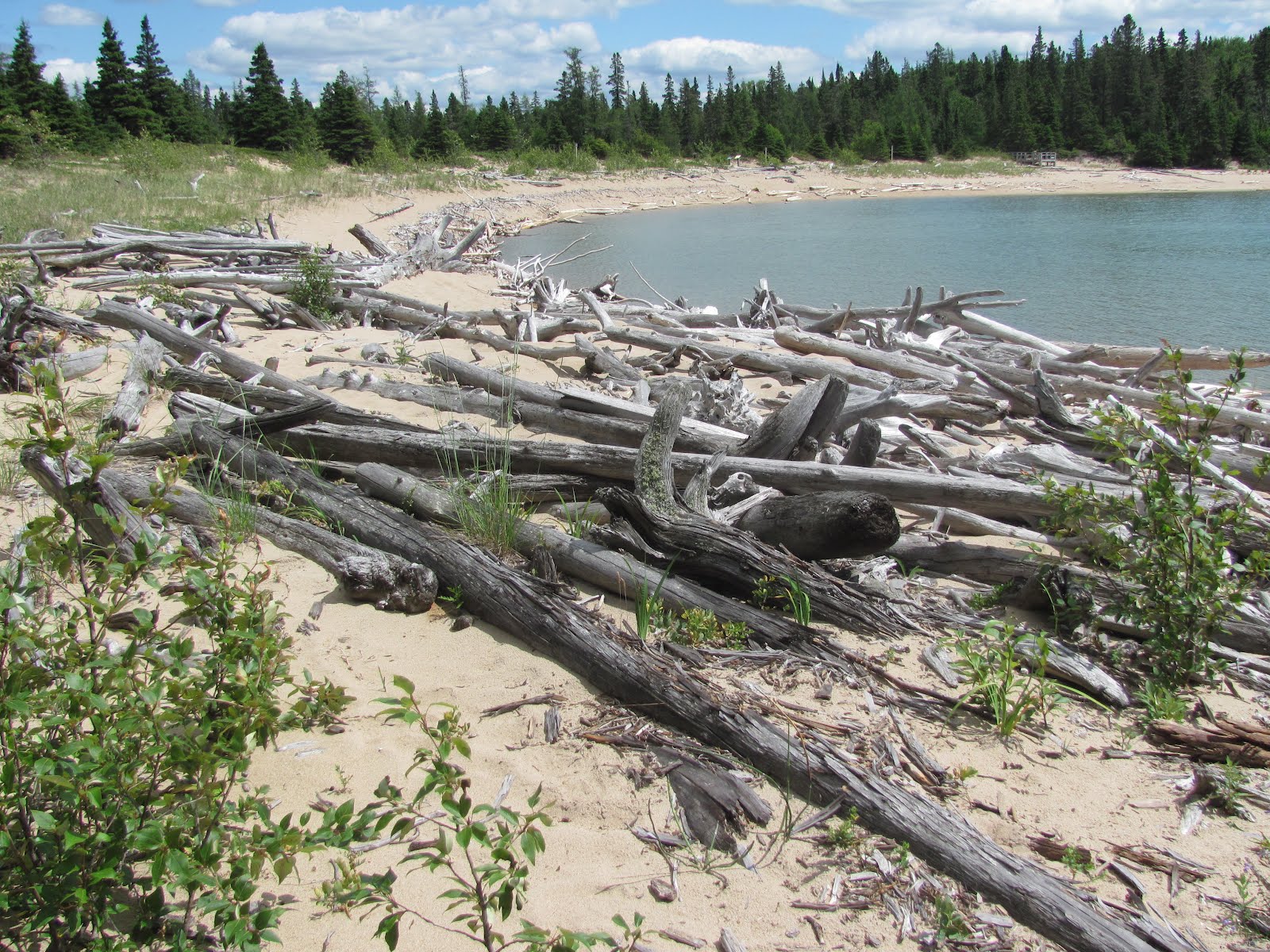 Cruising on M/V Monarch