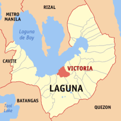 Top 10 Festivals of the Province of LAGUNA: Victoria, Laguna - Itik ...