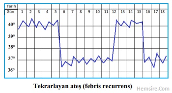 Ateş tipleri ve grafikleri
