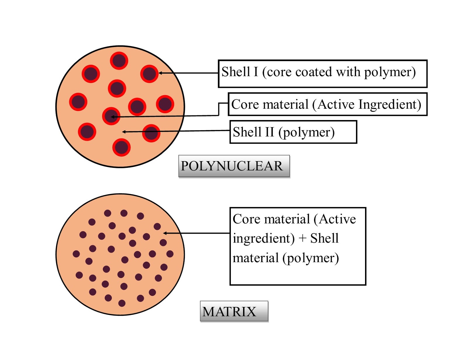 Microencapsulation