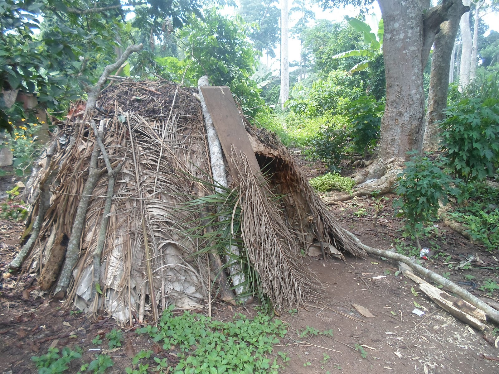 Newburn Family Mission: Visiting the Baka People