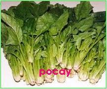 SUPPLIER SAYURAN DAN BUAH "JAKARTA"