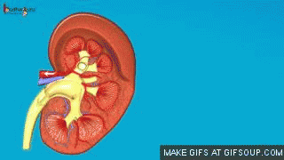 El Rincón del Pequeprofe