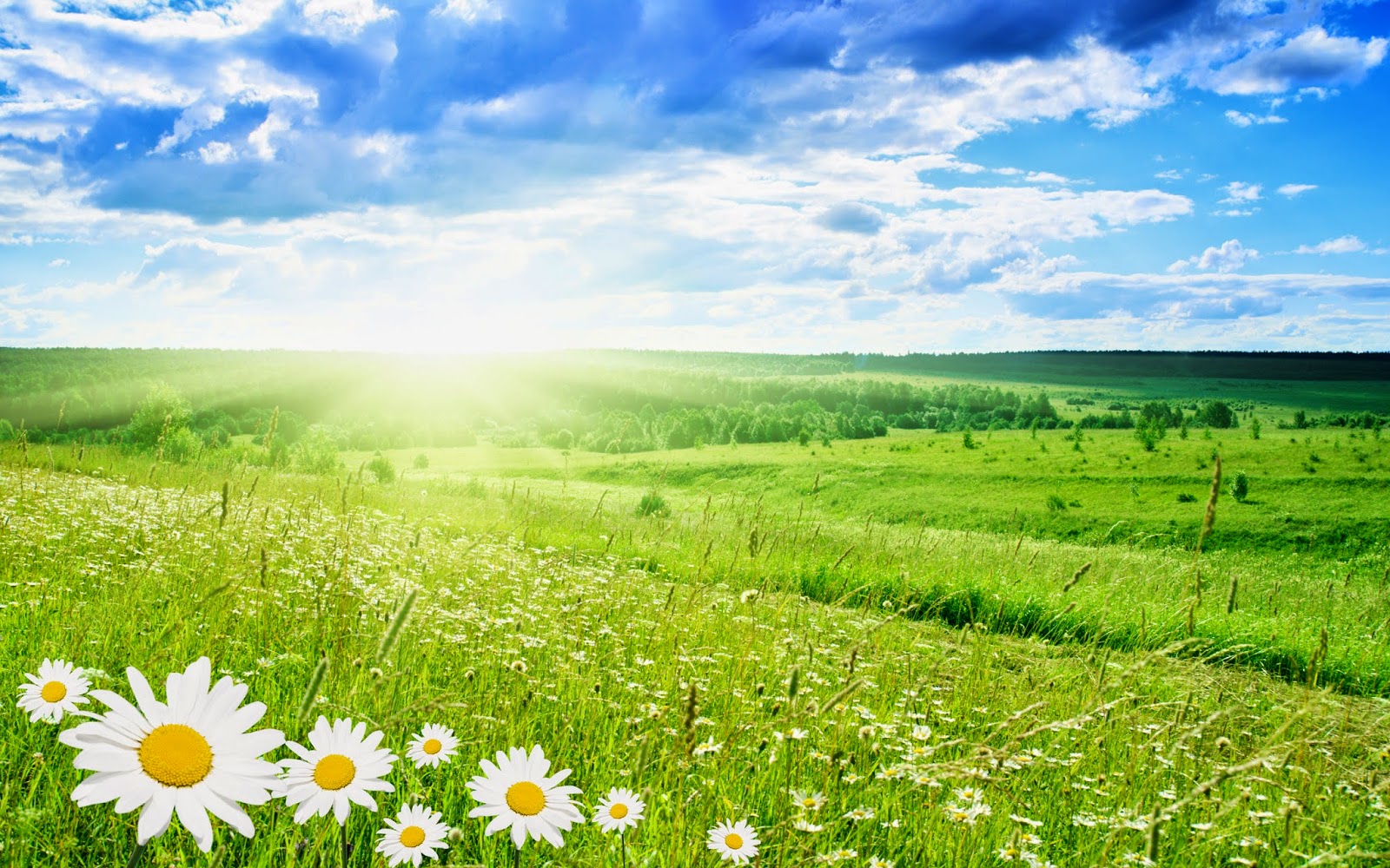 25 Best Spring Landscape HD Wallpapers - Bookmarks100