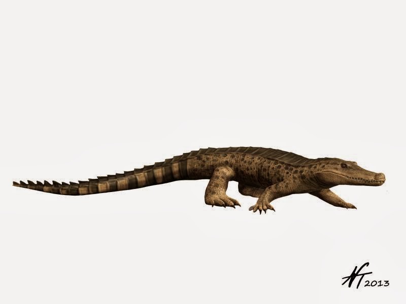 Goniopholis - Alchetron, The Free Social Encyclopedia