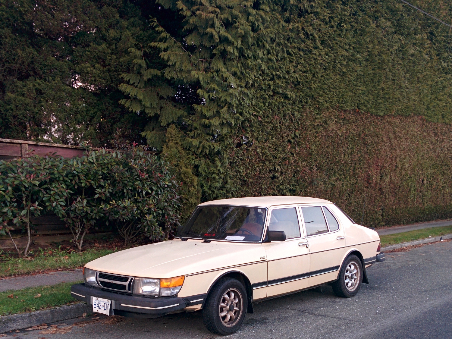 Old Parked Cars Vancouver: 1984 Saab 900 Sedan