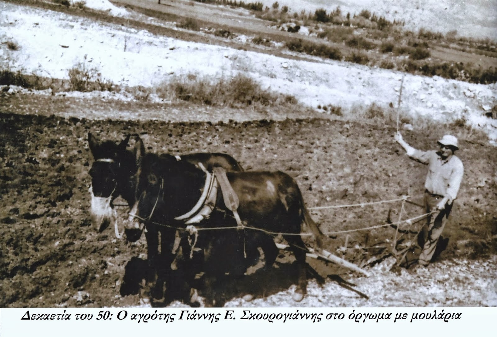 ΛΑΟΓΡΑΦΙΚΟΣ - ΙΣΤΟΡΙΚΟΣ ΣΥΛΛΟΓΟΣ " Η ΣΟΥΒΑΛΑ ΠΑΡΝΑΣΣΟΥ ": ΤΟ ΟΡΓΩΜΑ