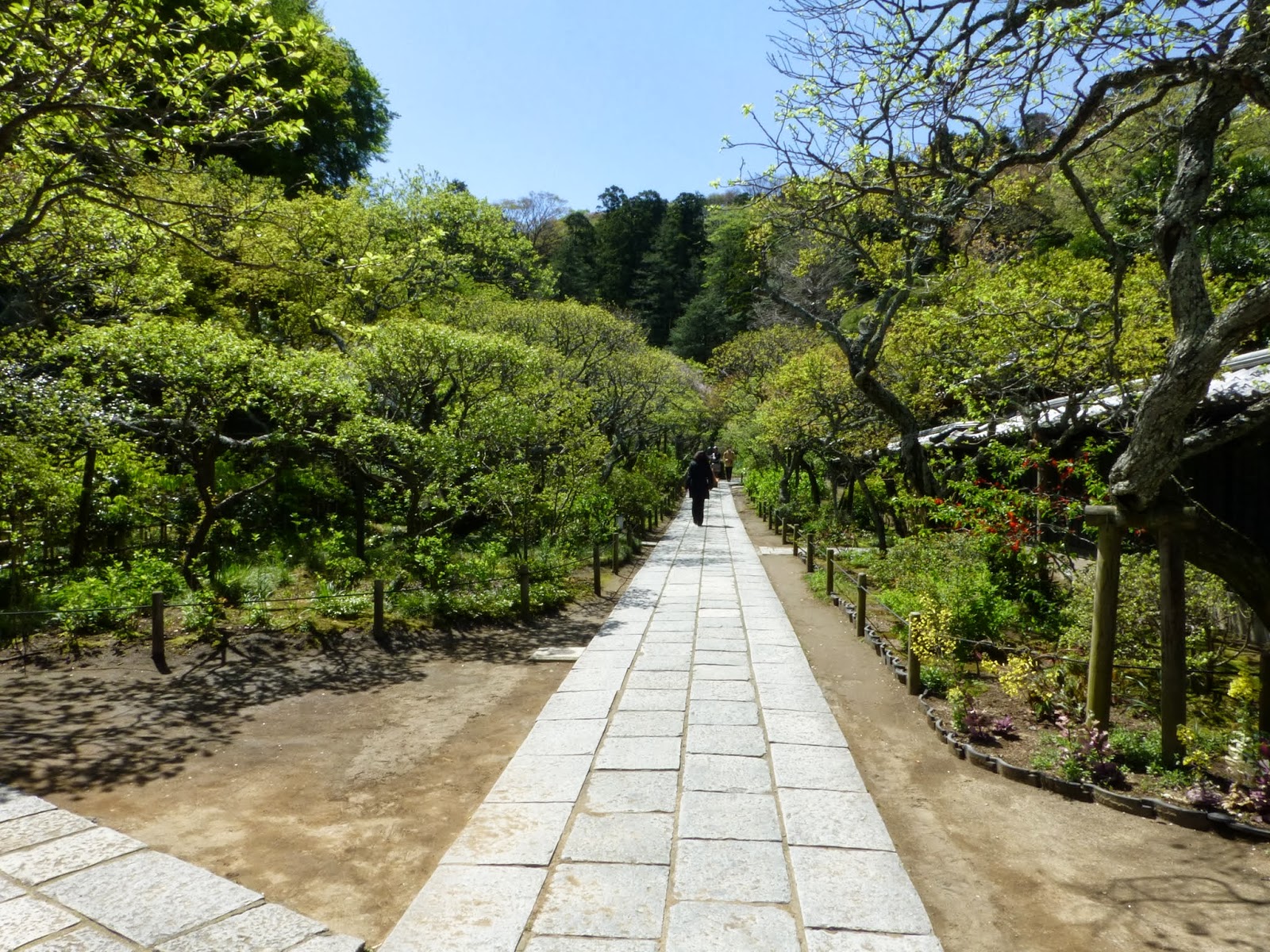 Chaos and Kanji: The Long Hike: Kamakura Daibutsu Hiking Course