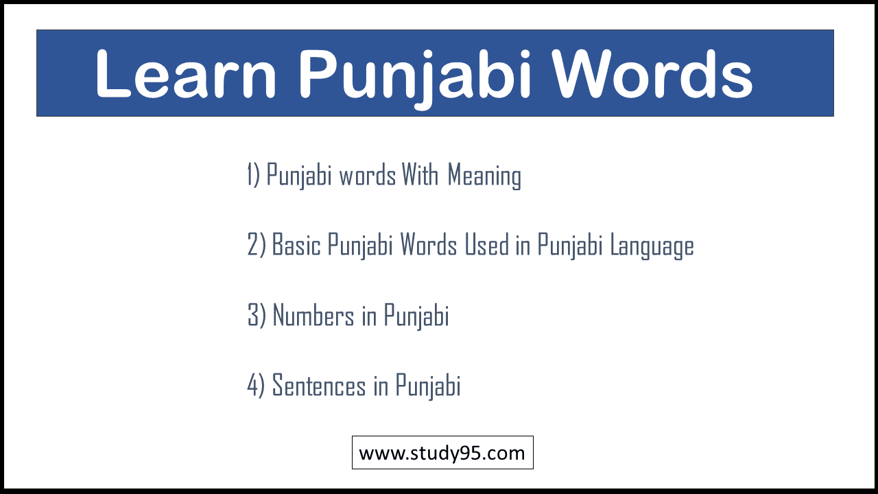 Learn Punjabi Words learn-punjabi-words