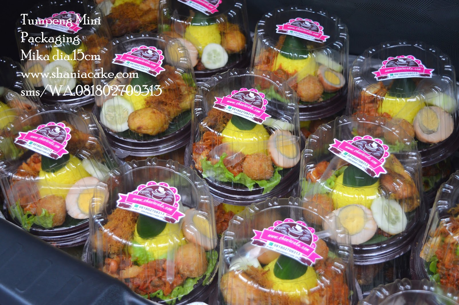 [Tumpeng Jogja] Mini Tumpeng Nasi Kuning | Home Made Cake and Cookies ...