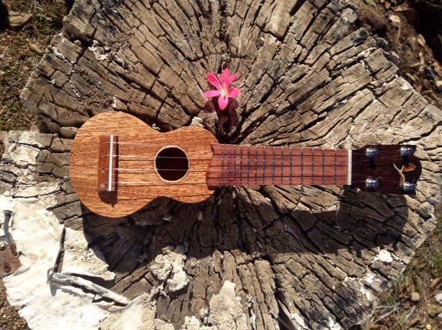 Tiwi Mini Ukuleles: Daniel's miniature mahogany uke collection