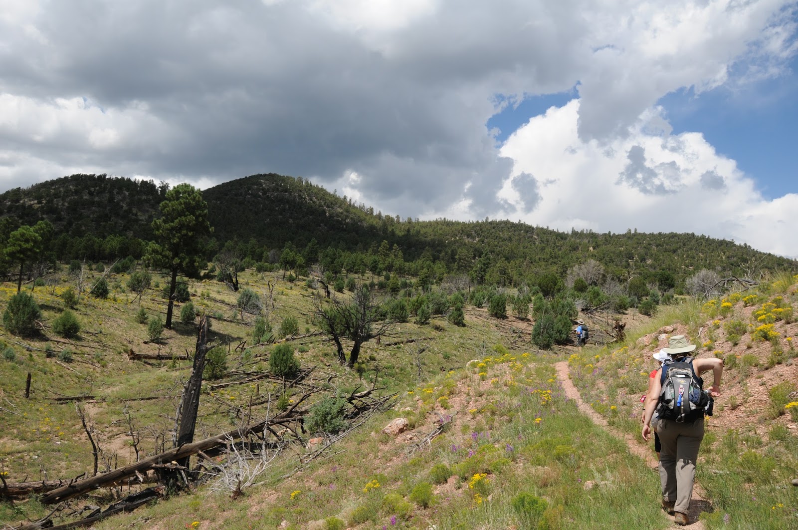 Arizona Hiking: SLATE MOUNTAIN TRAIL #128
