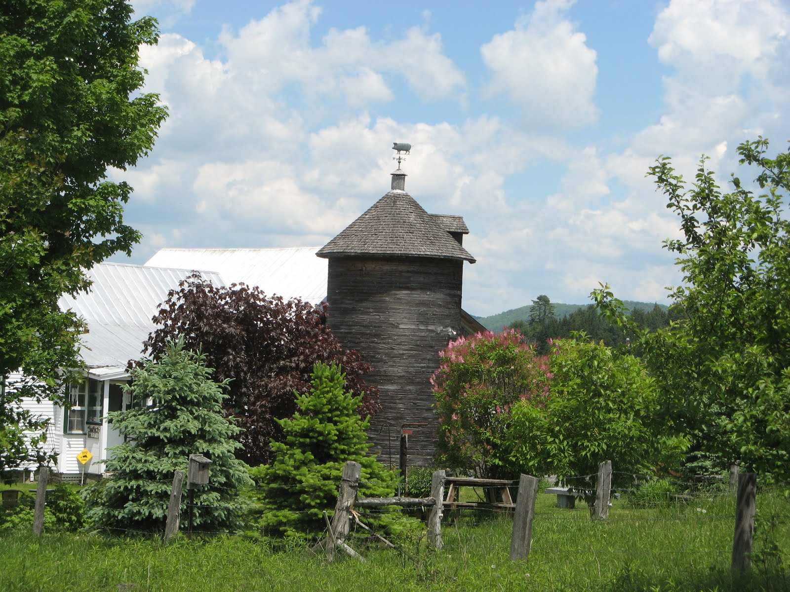 Animal Instinct: Barns of June, 4