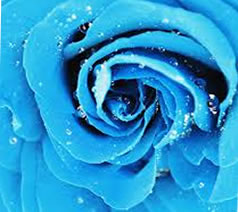 Blue Magic Spells | Ritual Magic Spells