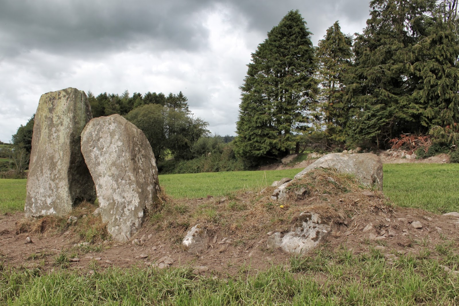 Historic Sites of Ireland: Ballyvongane Stone Row