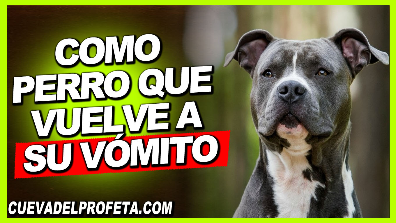 Como Perro Que Vuelve A Su Vómito Mensajes De William Branham